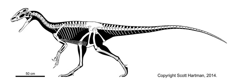 Guanlong time!Dr. Scott Hartman's Skeletal Drawing.com