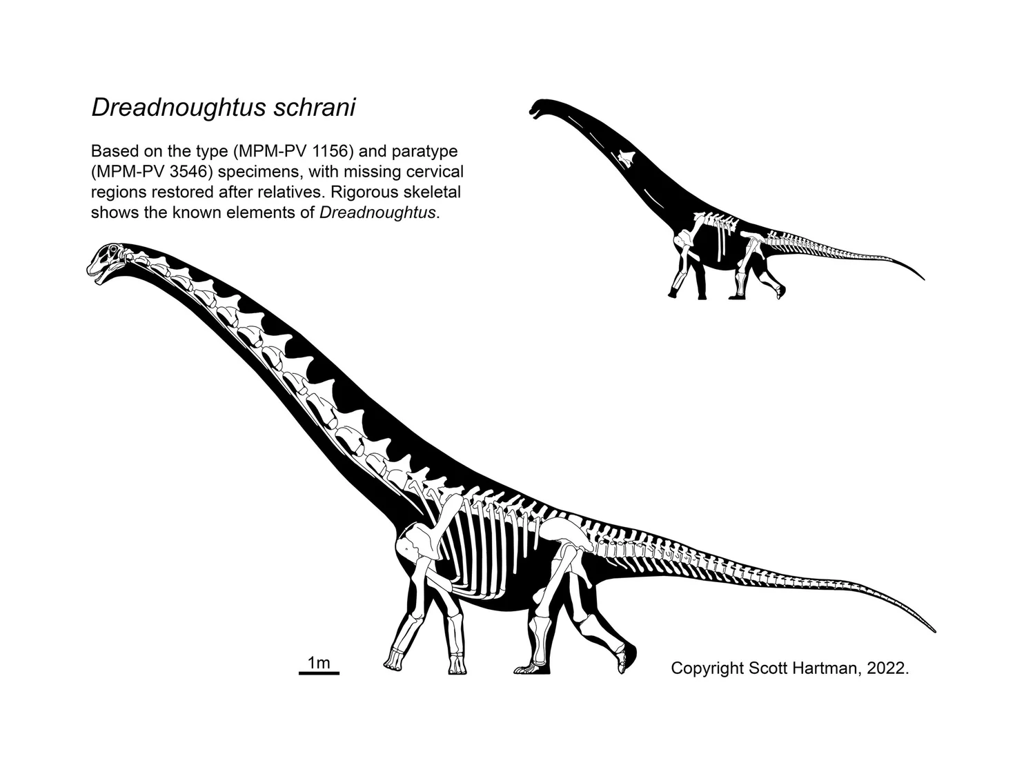I checked out the Natural History Museum's new Titanosaur (Patagotitan ...