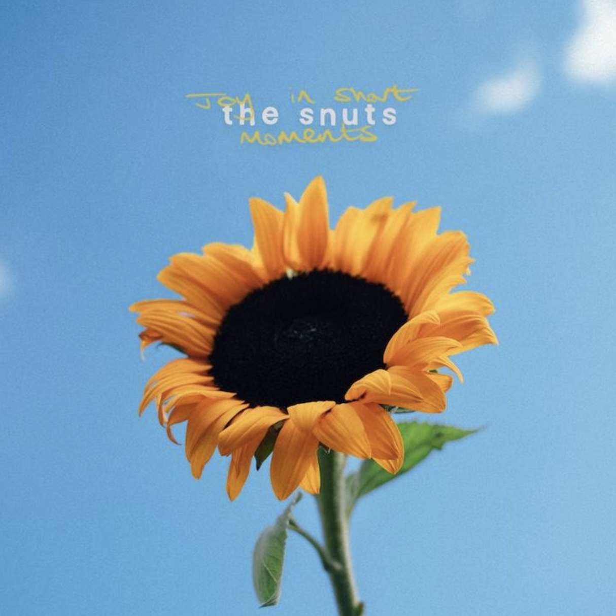 THE SNUTS return with JOY IN SHORT MOMENTS — Their most grounded, human ...