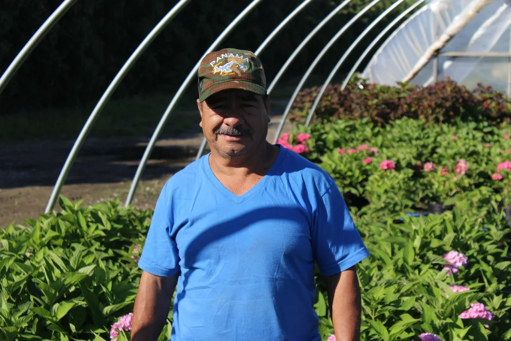 Shade Trees Nursery