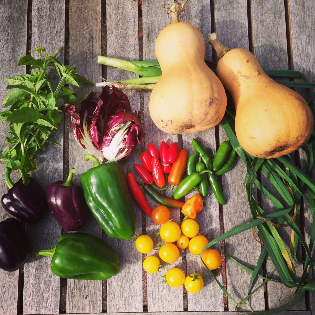 10.22.13 Wild Rice Pilaf with Roasted Butternut Squash — Wisconsin from ...