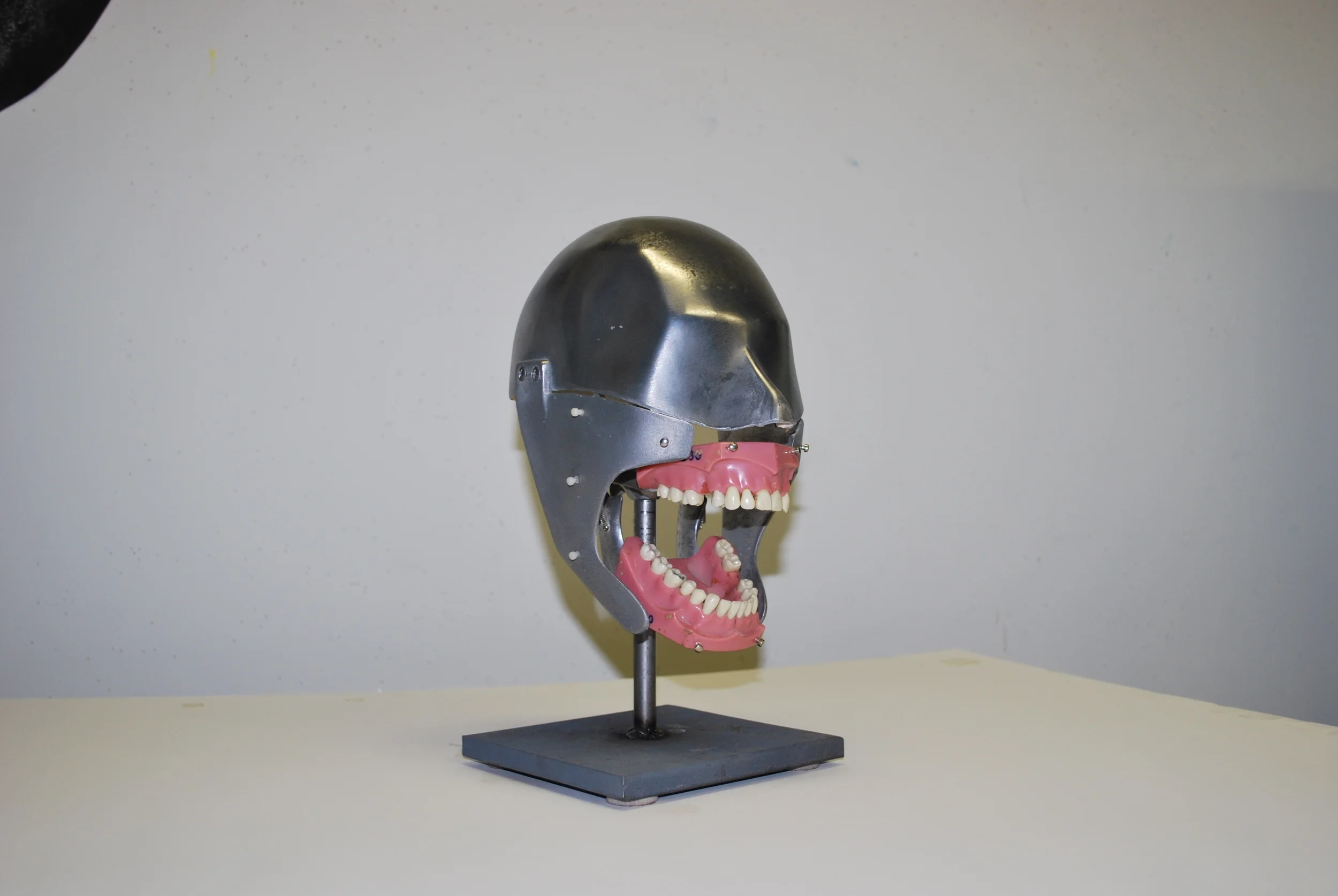 Vintage Dental Heads from Agent Gallery — AGENT GALLERY CHICAGO