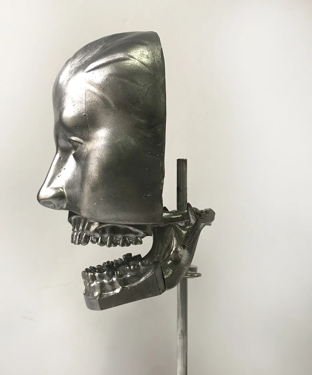 Aluminum Dental Manikin with Fix Aluminum teeth set — AGENT GALLERY CHICAGO