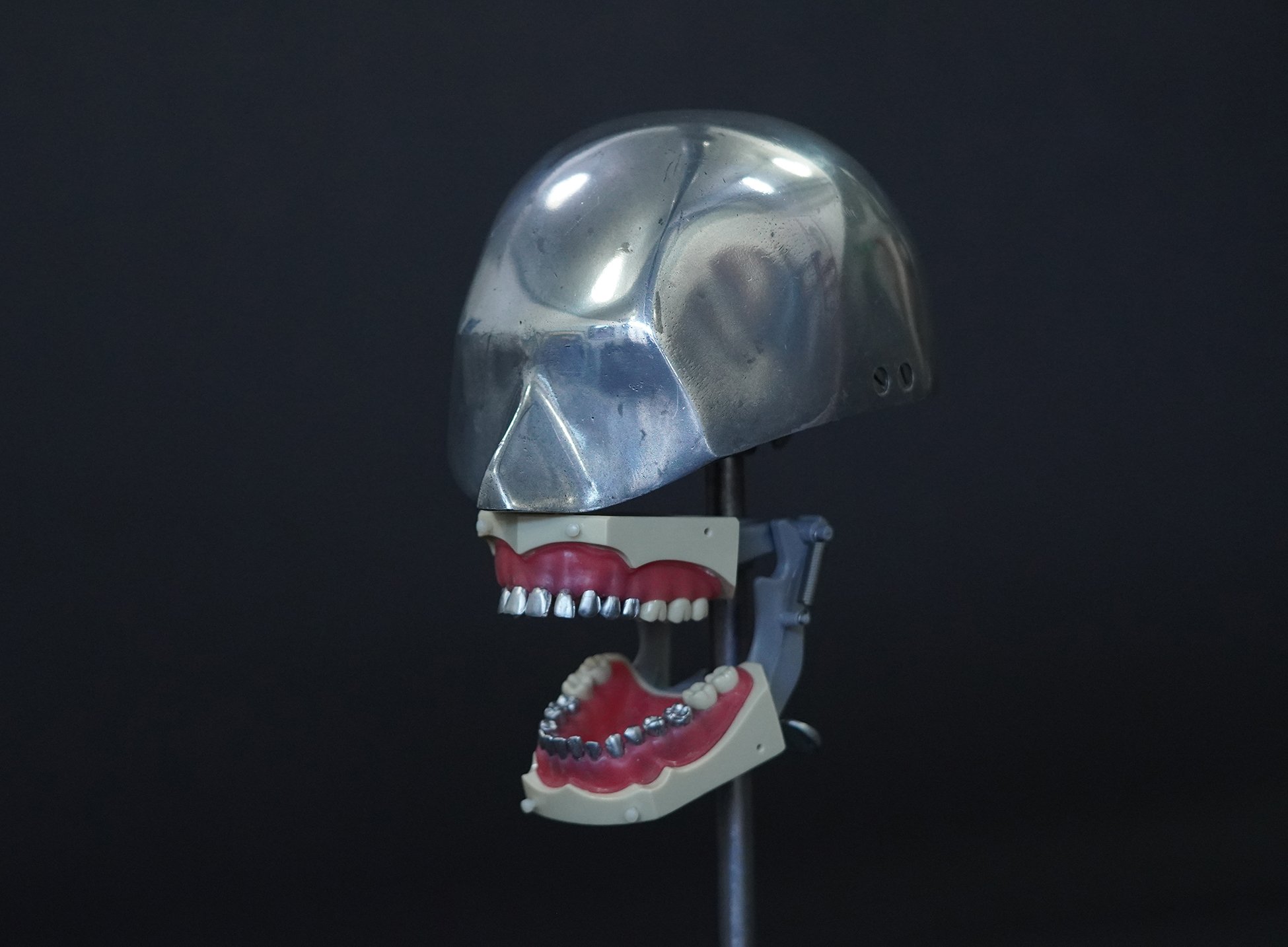 Dental Phantoms — AGENT GALLERY CHICAGO