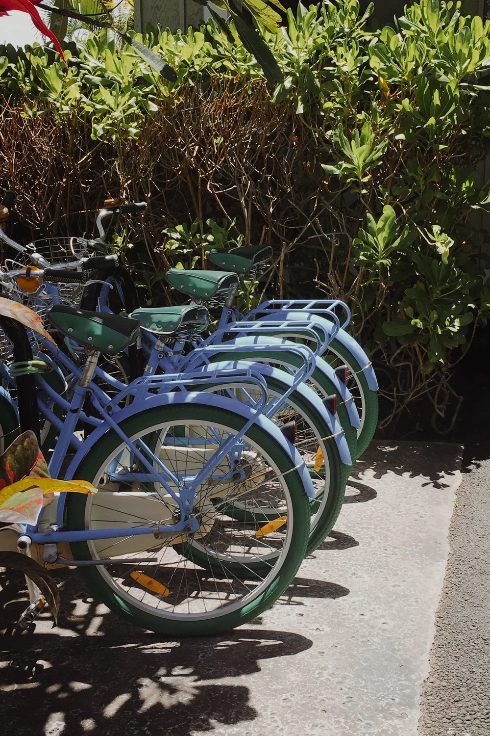 The Pacific Standard — Hawaii Photo Diary & Travel Guide