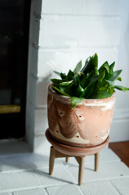 The Pacific Standard — First Look: Simple Redesign Projects for your ...