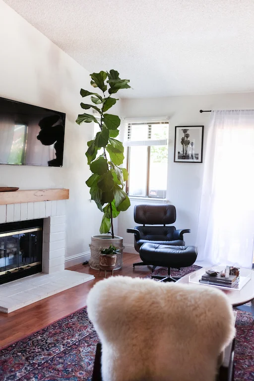 The Pacific Standard — First Look: Simple Redesign Projects for your ...