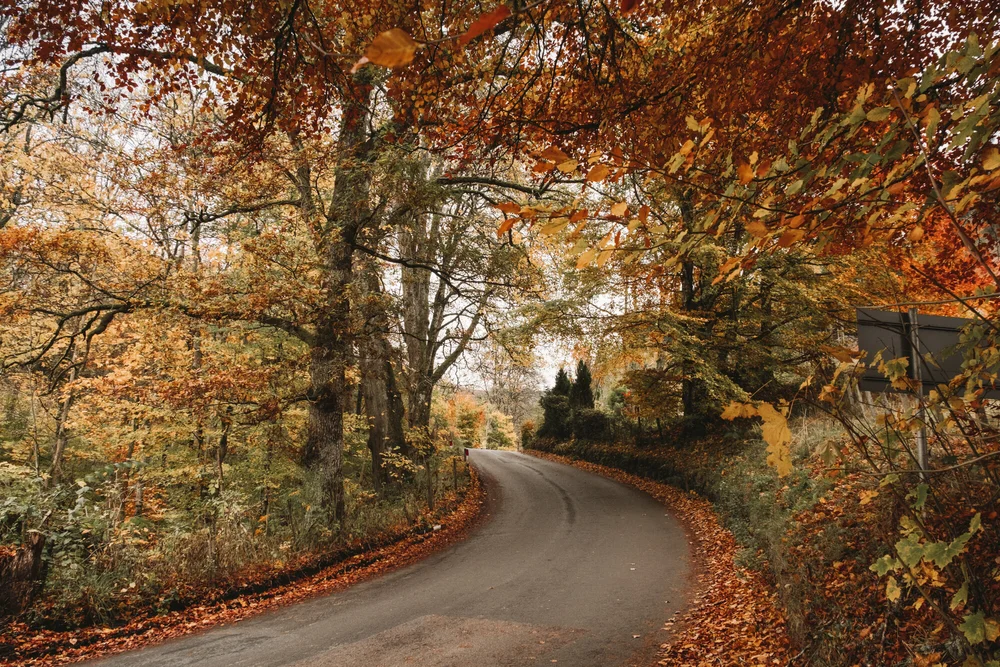 20 Ideas To Stay Creative This Fall — FOR ALL THINGS CREATIVE