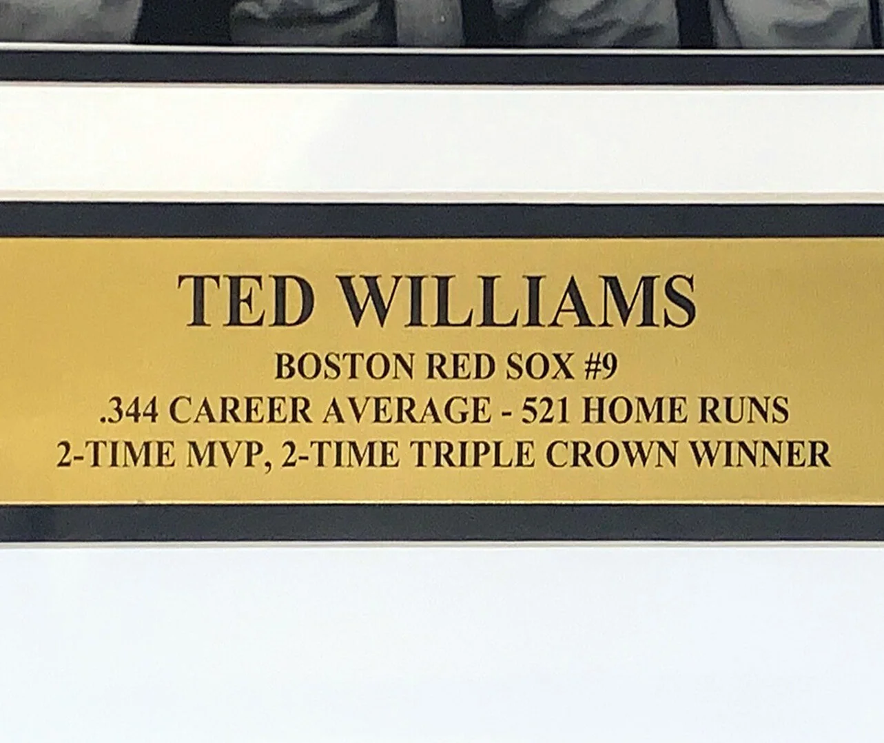 Ted Williams Signature Example