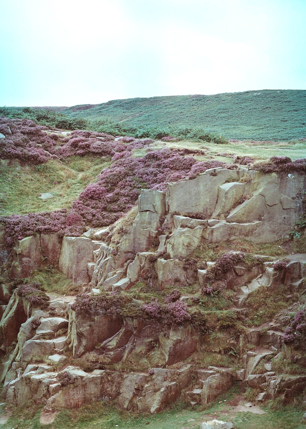 Cow and Calf Rocks Part I — For the easily distracted...