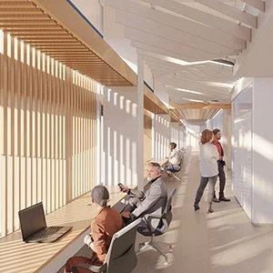 Gallery - Research + Wellness — ORANGEWALLstudios