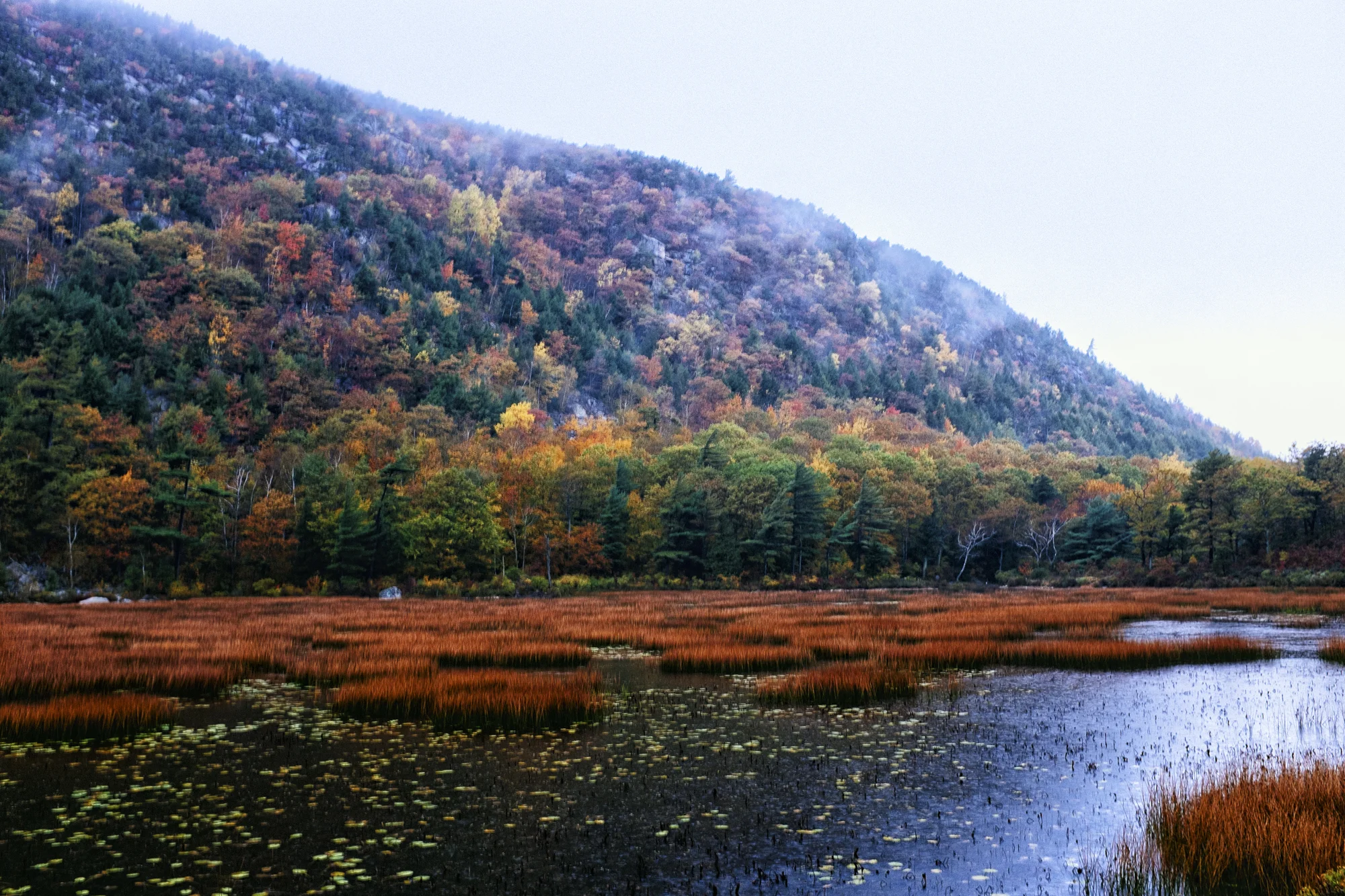Tarn In The Rain – Acadia Photo Safari | Acadia National Park ...