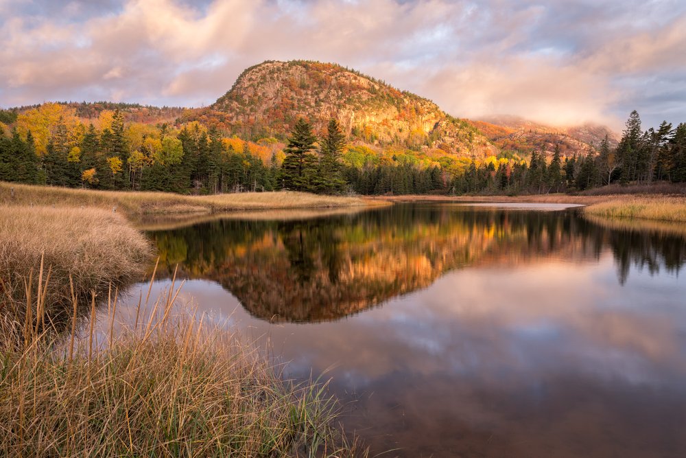 Ocean Drive Photo Tour | Photography Workshops | Acadia Photo Safari