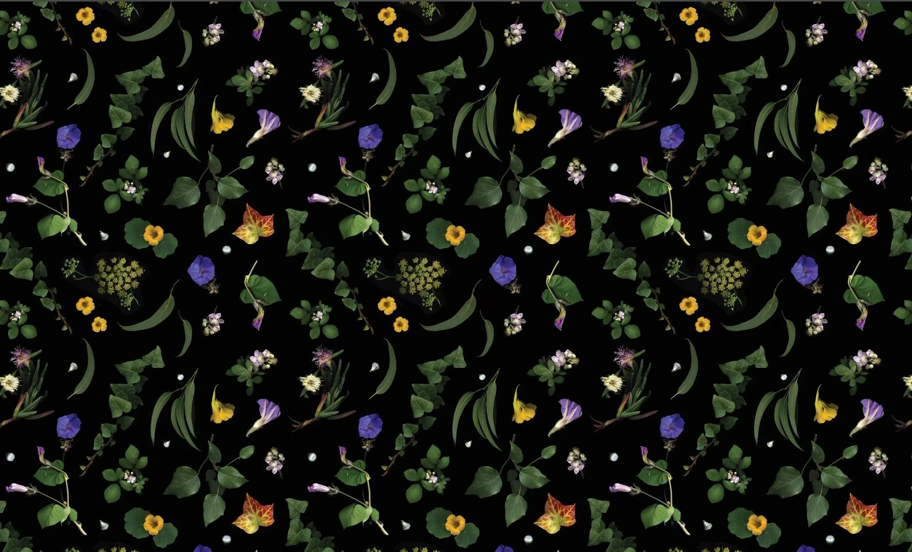Botanical Fine Art Photography, installation, and wall papers | Kija ...