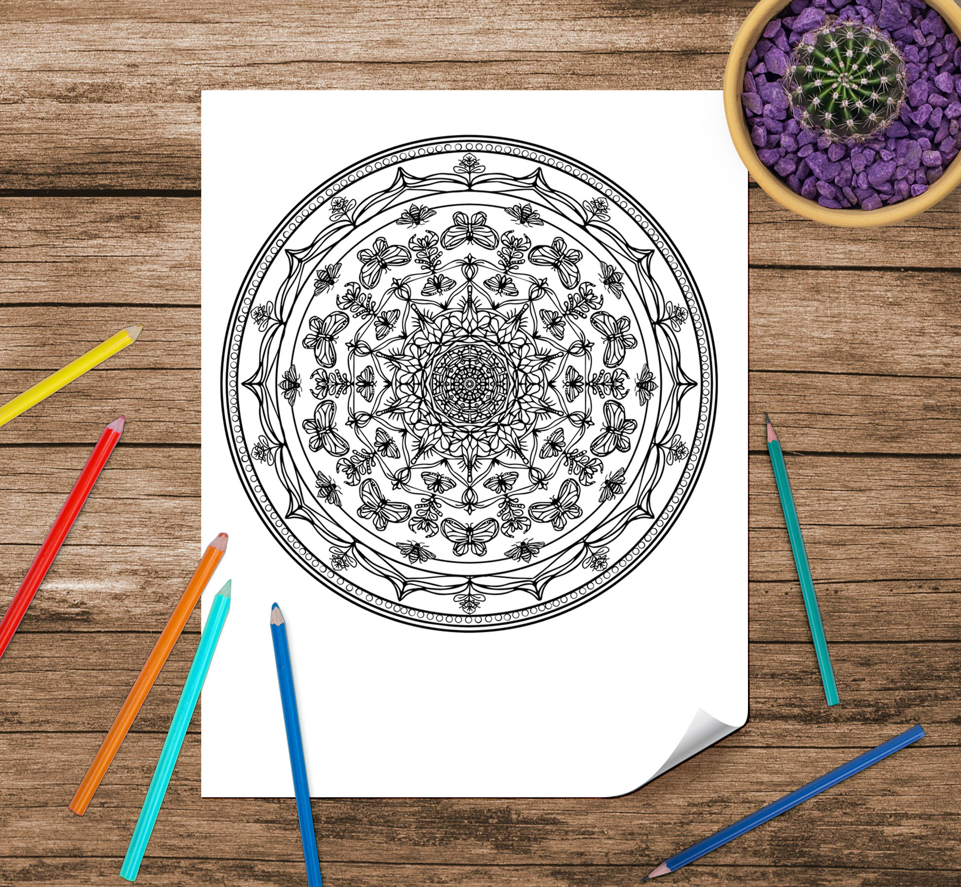 Mandalas- Tree Talker Art | Rachael Caringella