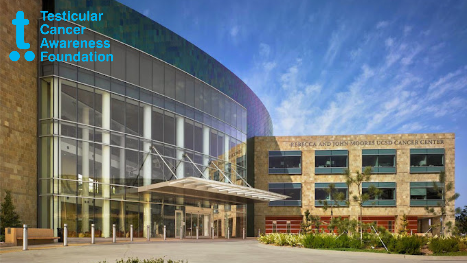 Testicular Cancer Conference — TCAF