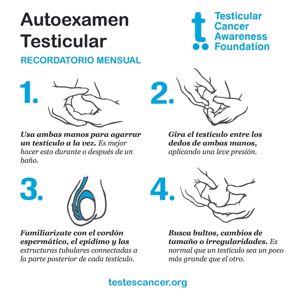 Monthly Testicular Self-Exams — TCAF