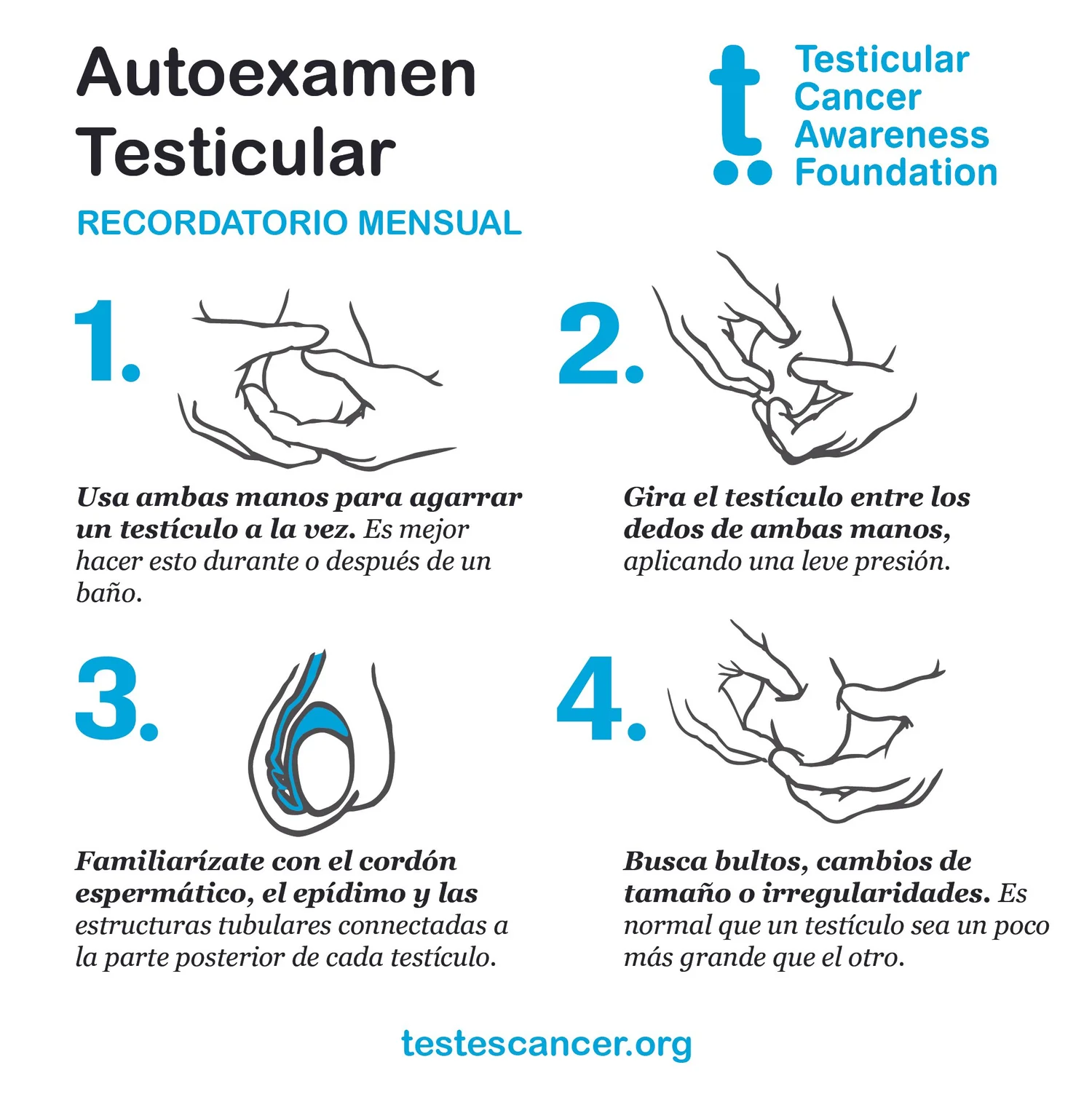 Monthly Testicular Self-Exams — TCAF