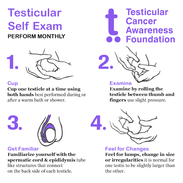 Testicular Lumps Signs & Symptoms — TCAF