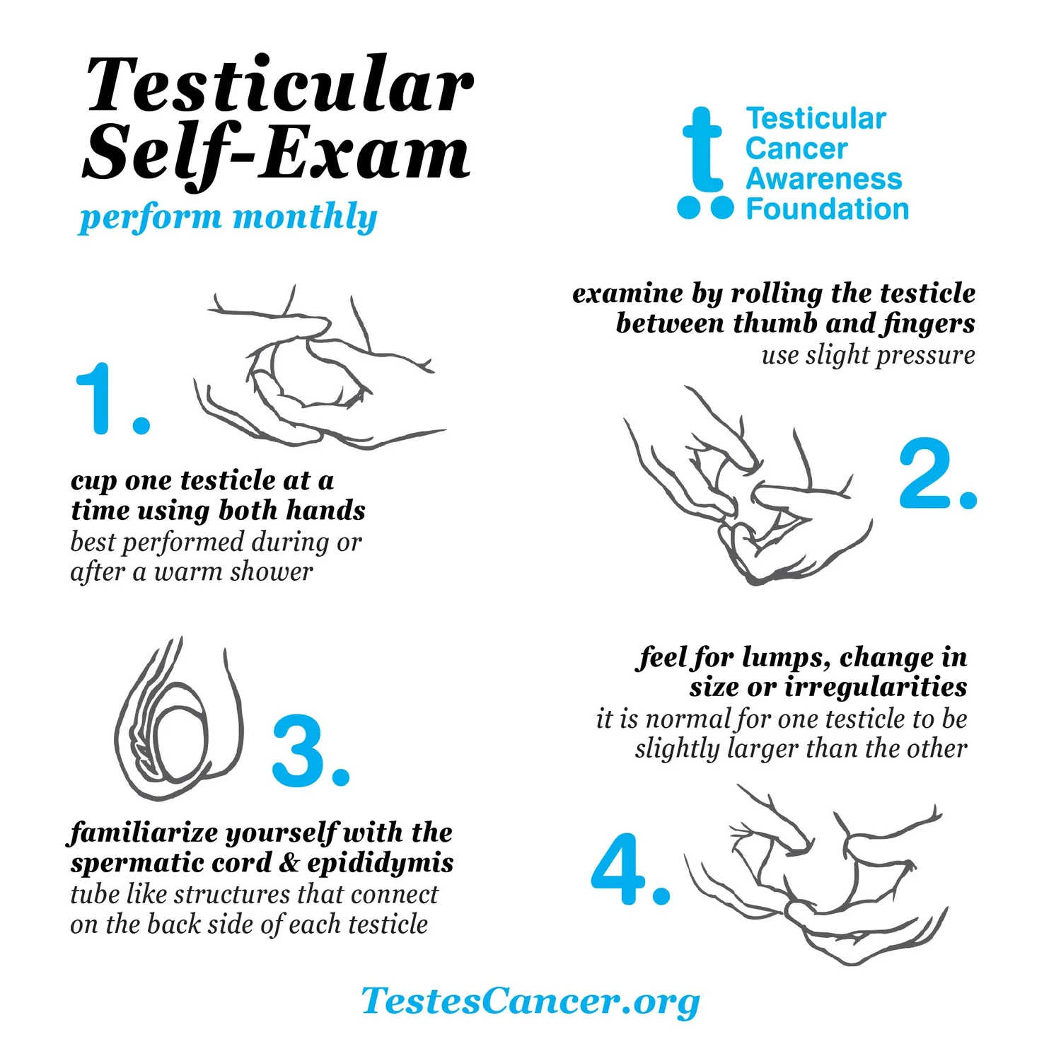 Monthly Testicular Self-Exams — TCAF