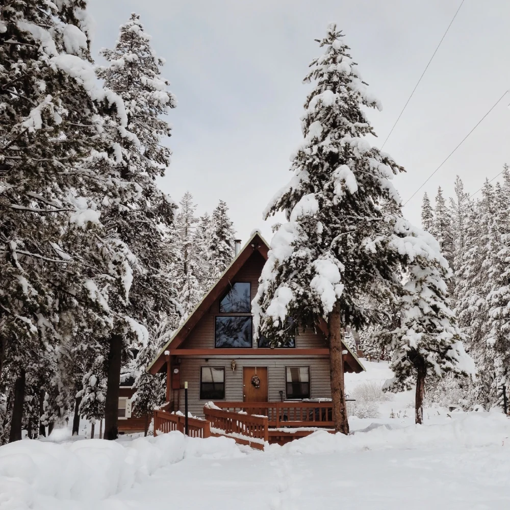 Guide To Visiting Tahoe In the Winter — LAURA LAWSON VISCONTI