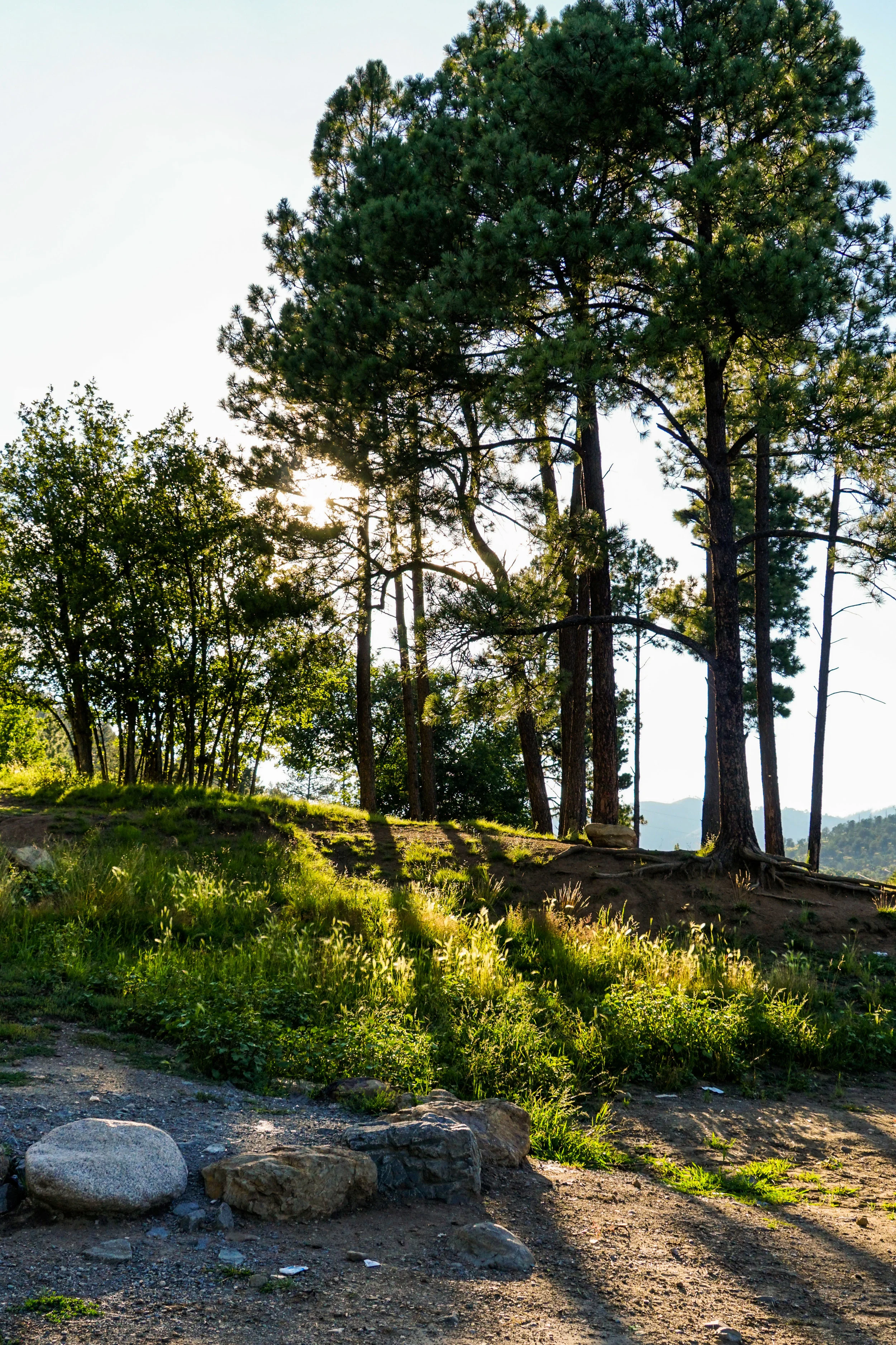 Photo Essay: Ruidoso, New Mexico — LAURA LAWSON VISCONTI