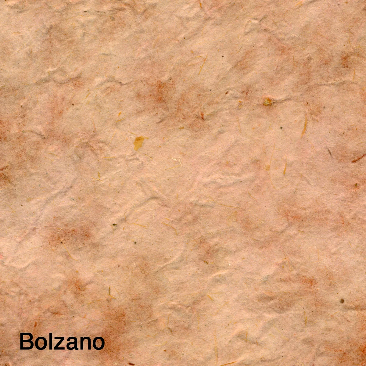 ITALIAN LANDSCAPES : Colorways — CANNON/BULLOCK