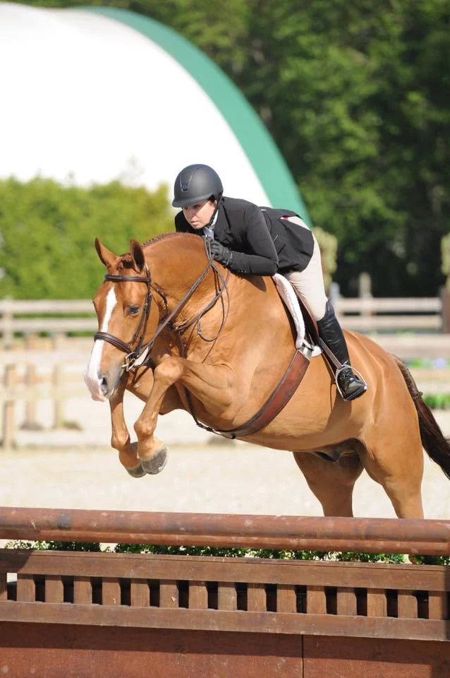 Our Story — Archway Equestrian, LLC