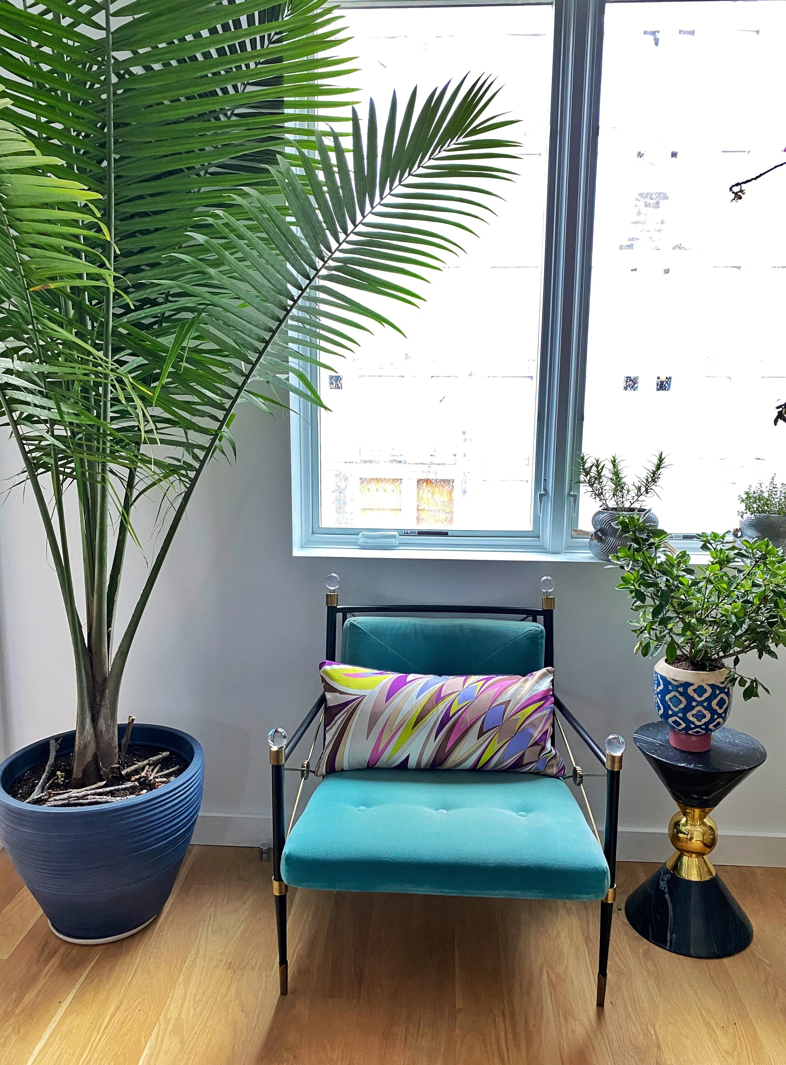 TracySmithNewYorkTracy Smith New York | Sofa Pillows, Decorative ...