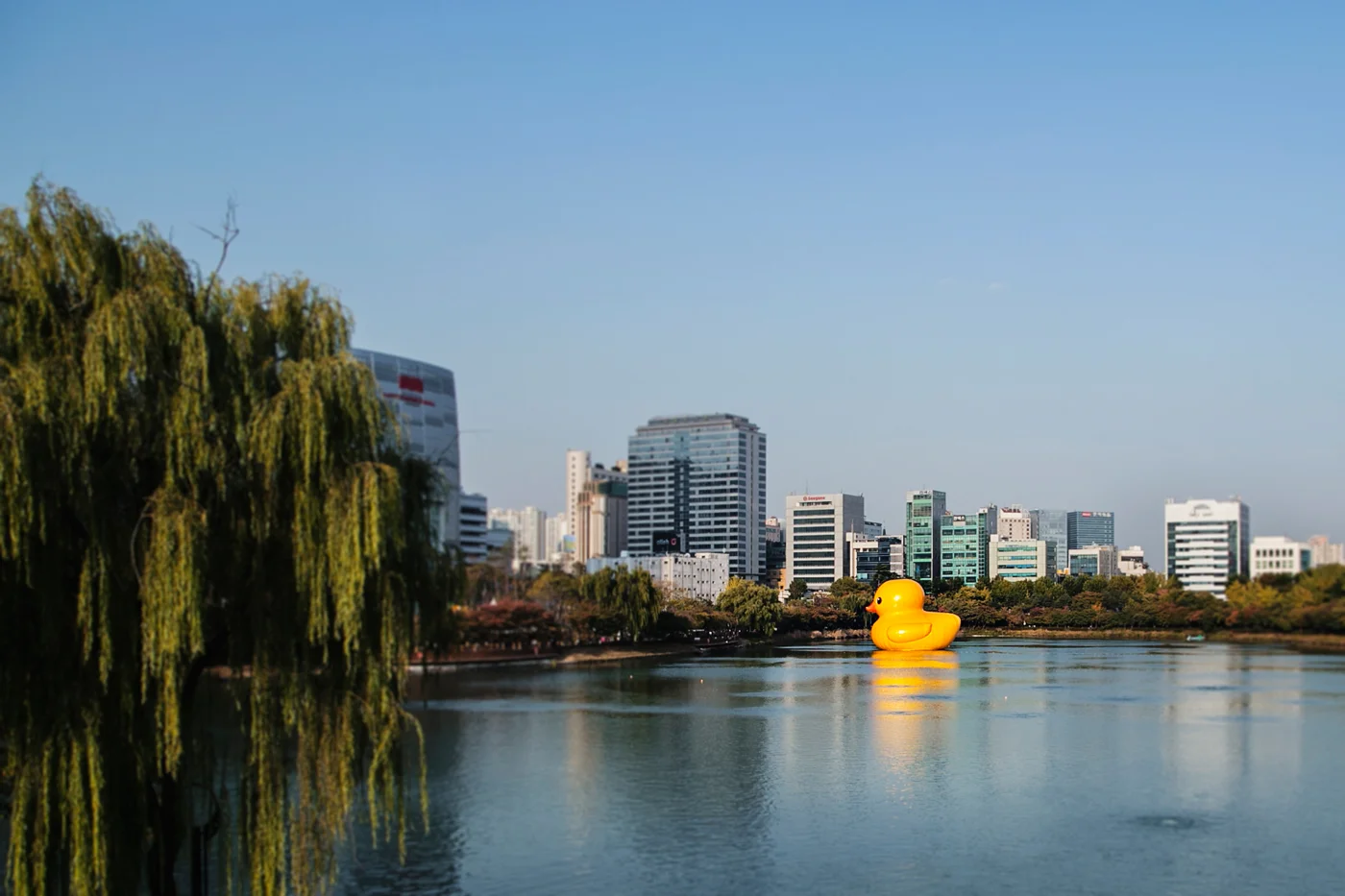 The Rubber Duck Project — Greysuitcase