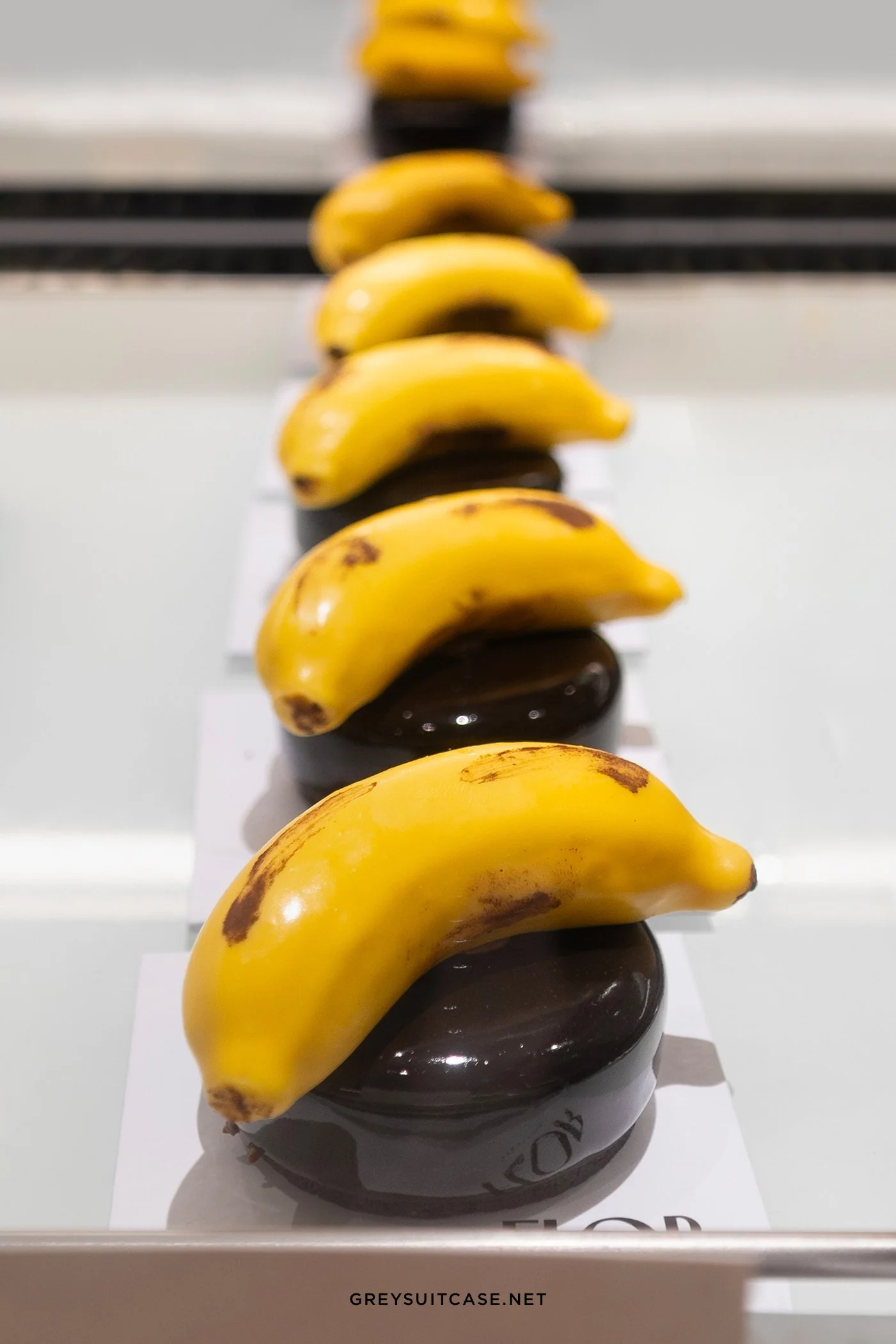 Flor — Greysuitcase