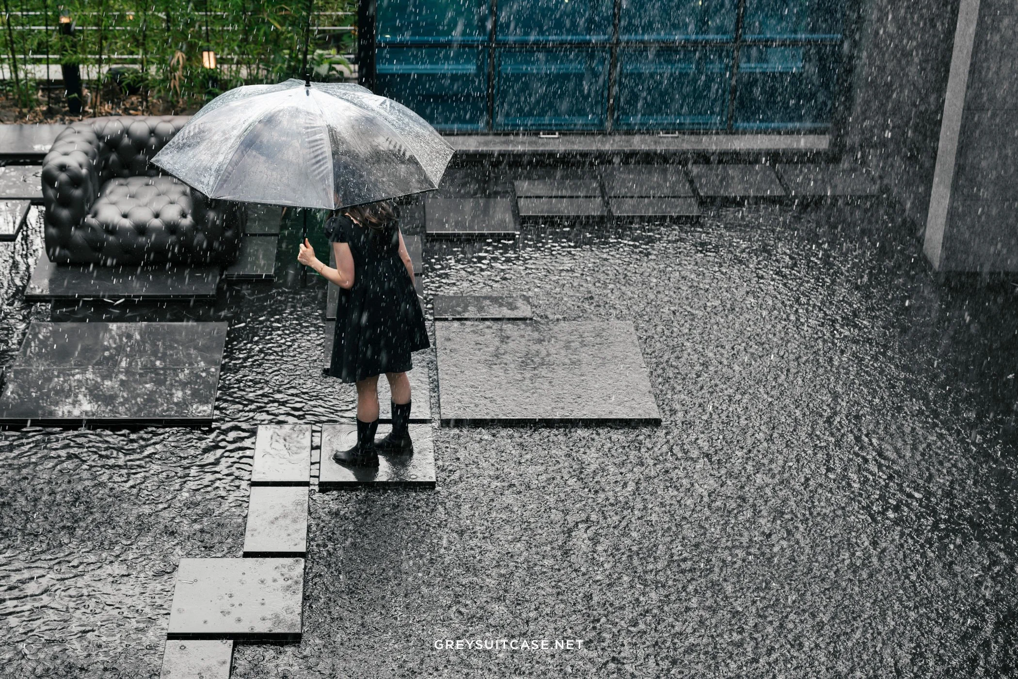 Rain Report • 레인리포트 — Greysuitcase