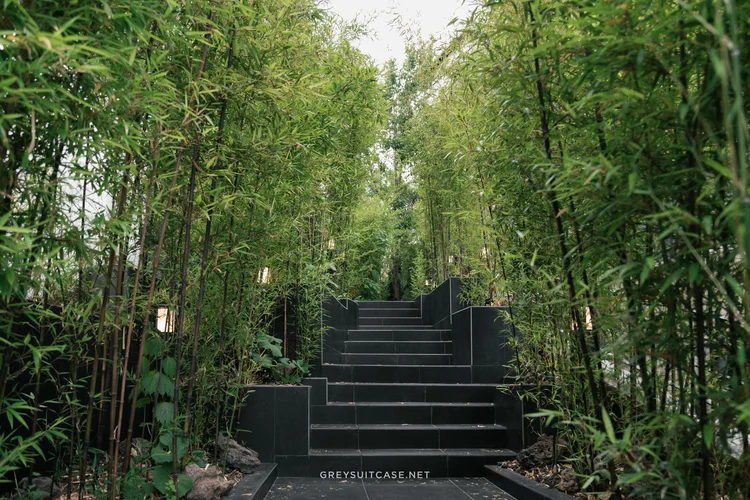 Rain Report • 레인리포트 — Greysuitcase