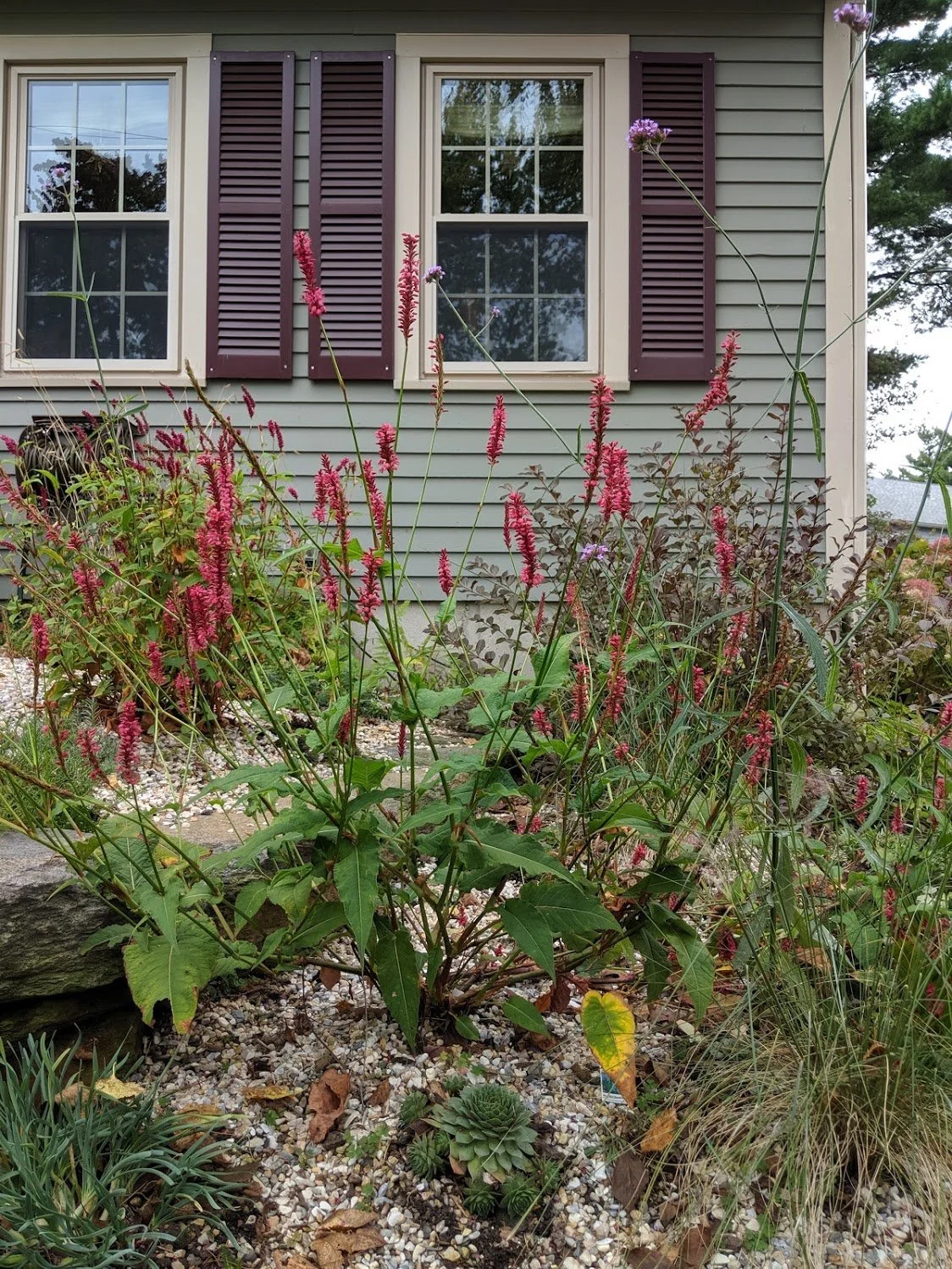 Garden Design with Flower Shape | The Big Little Garden | Nashua, NH