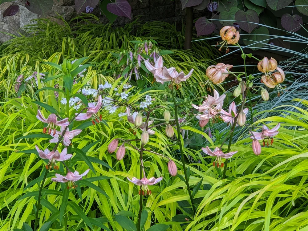 Garden Design with Flower Shape | The Big Little Garden | Nashua, NH