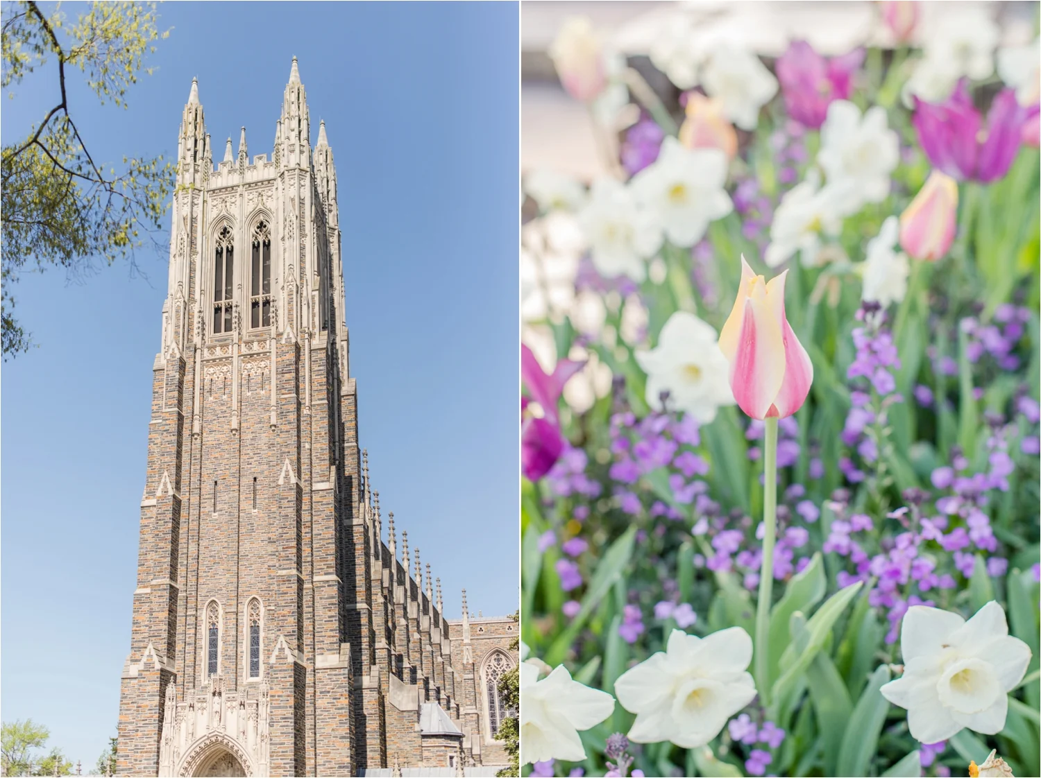 Duke University Chapel Spring