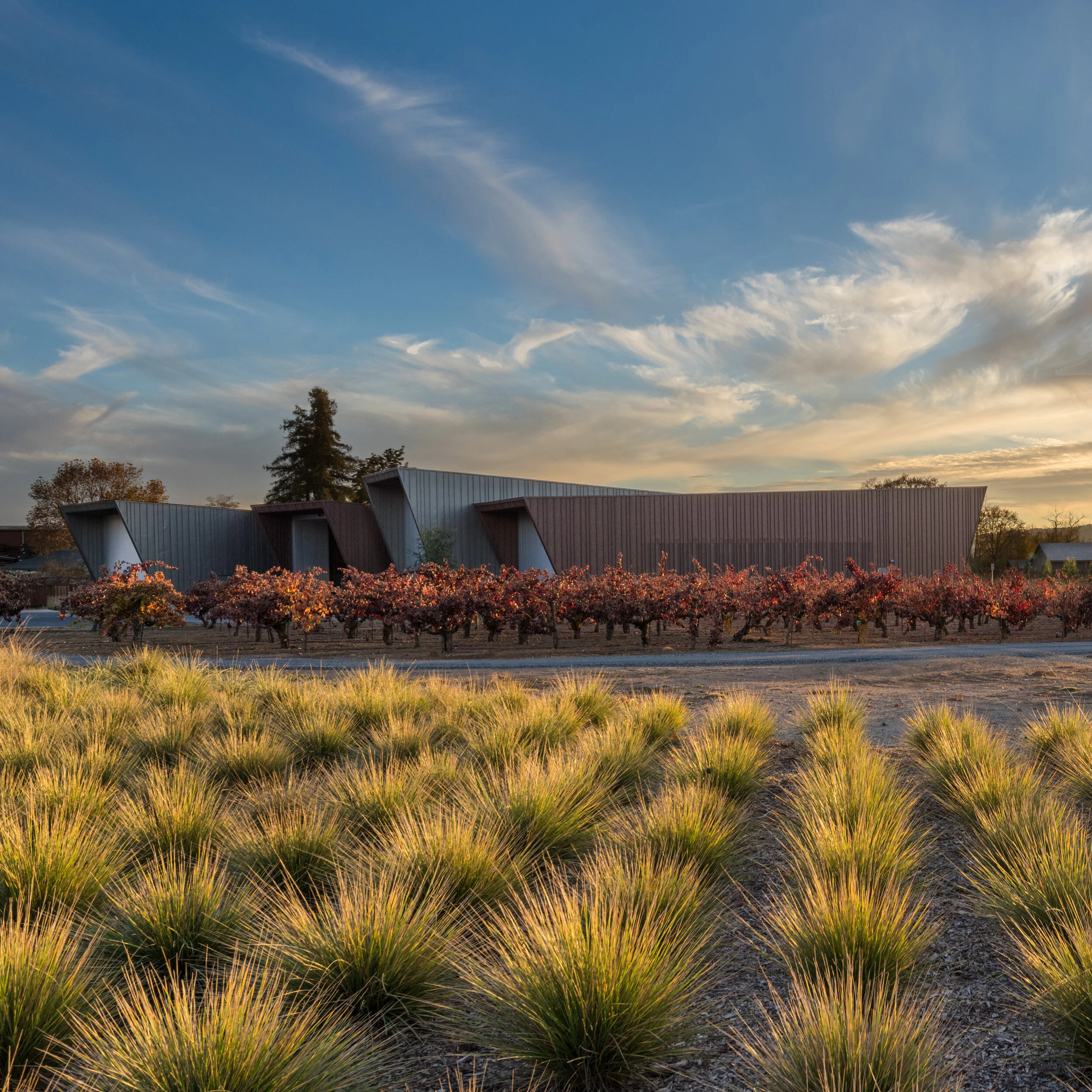 Client Portal — Red Tail Photography-San-francisco-Commercial ...