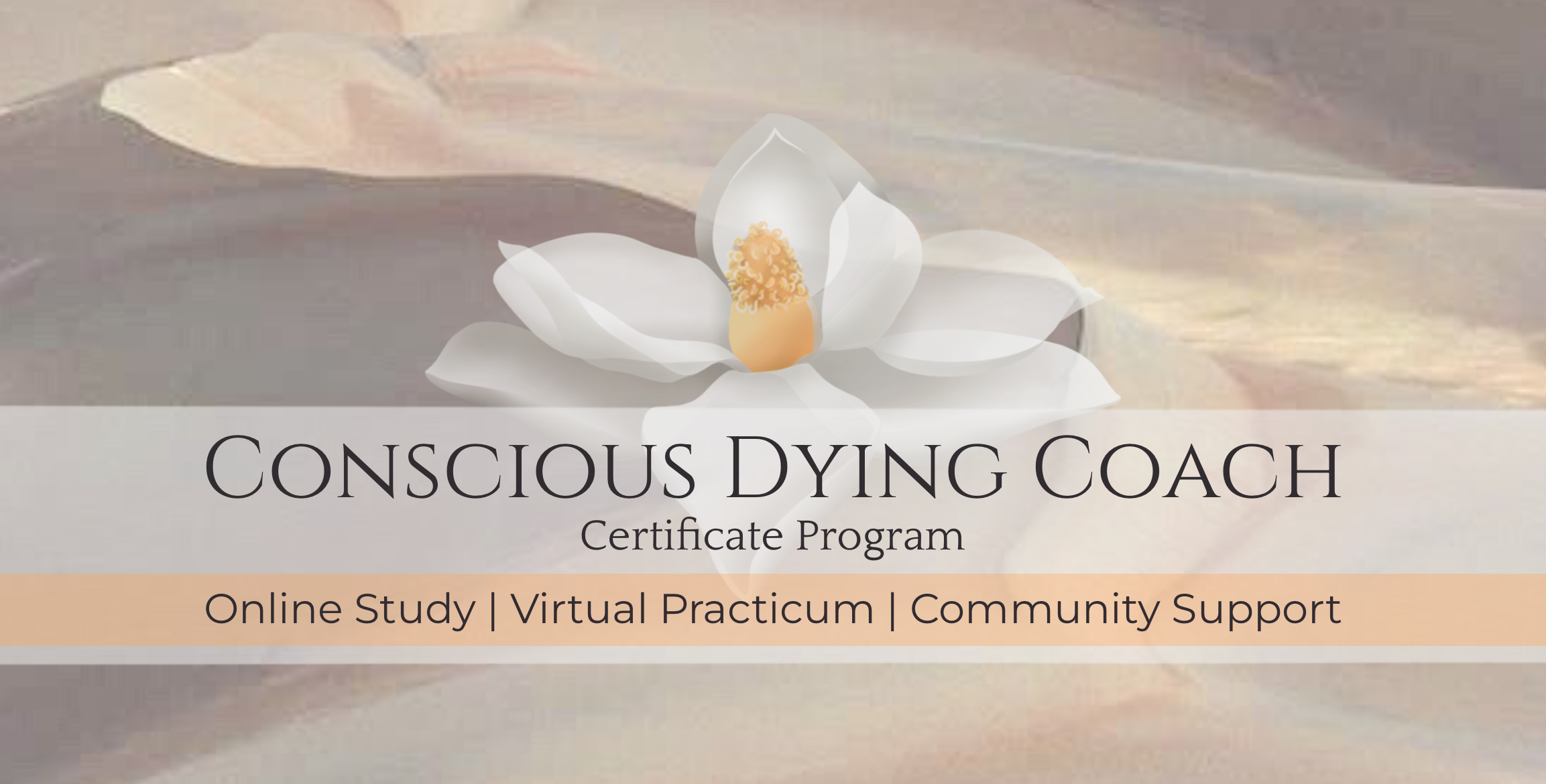 Conscious Dying Institute Events — Conscious Dying Institute
