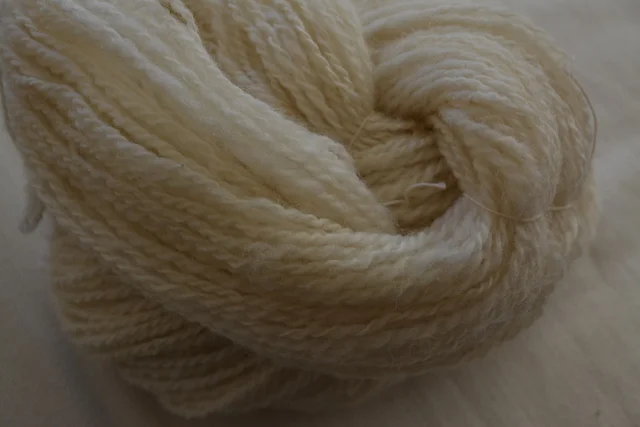 Cheviot Gallery — Australian Rare Breed Sheep Project