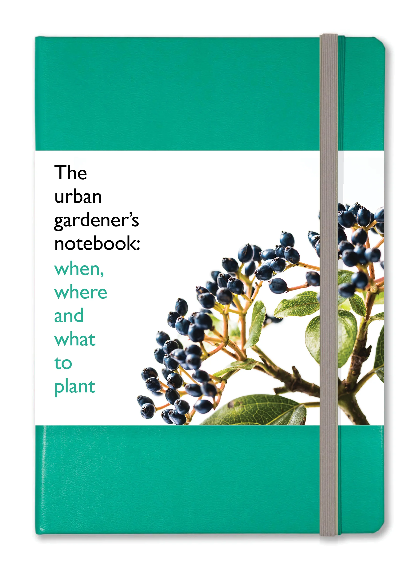 notebook+ — baizdon guides & publications