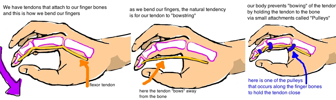 Trigger Finger — Bone Talks