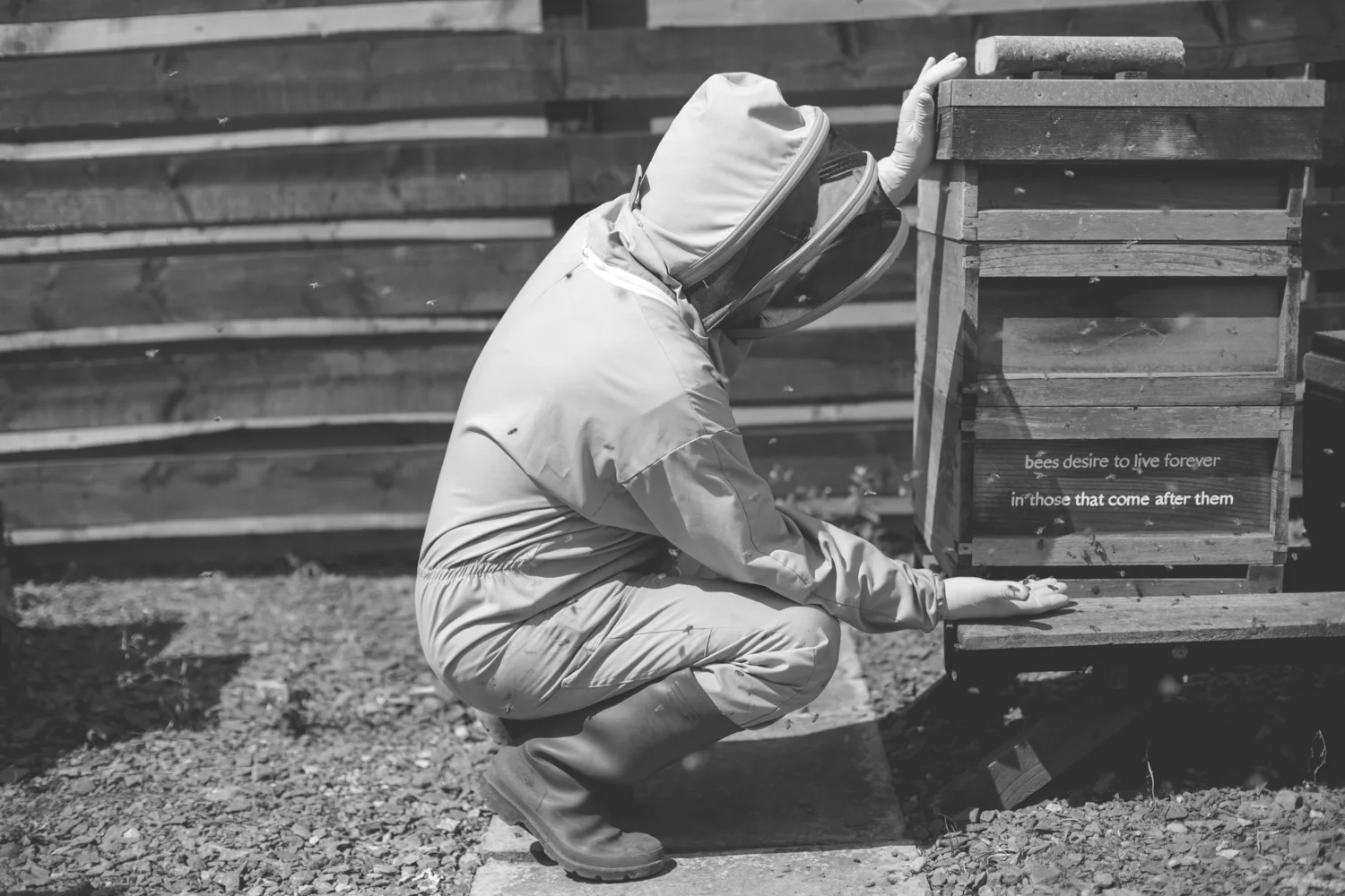 The Bee Library — HANNAH DEVEREUX