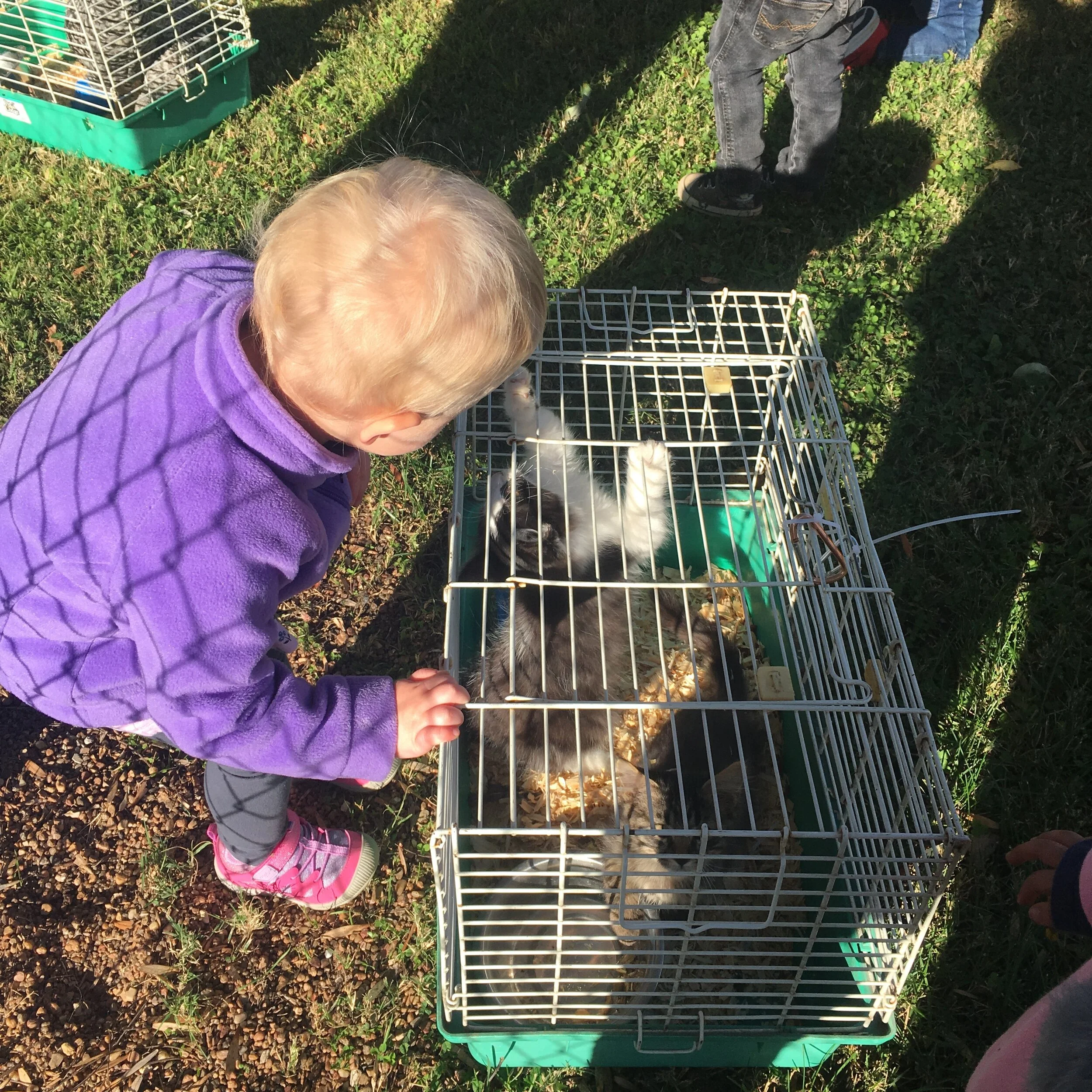 Play And Learn Preschool Inc