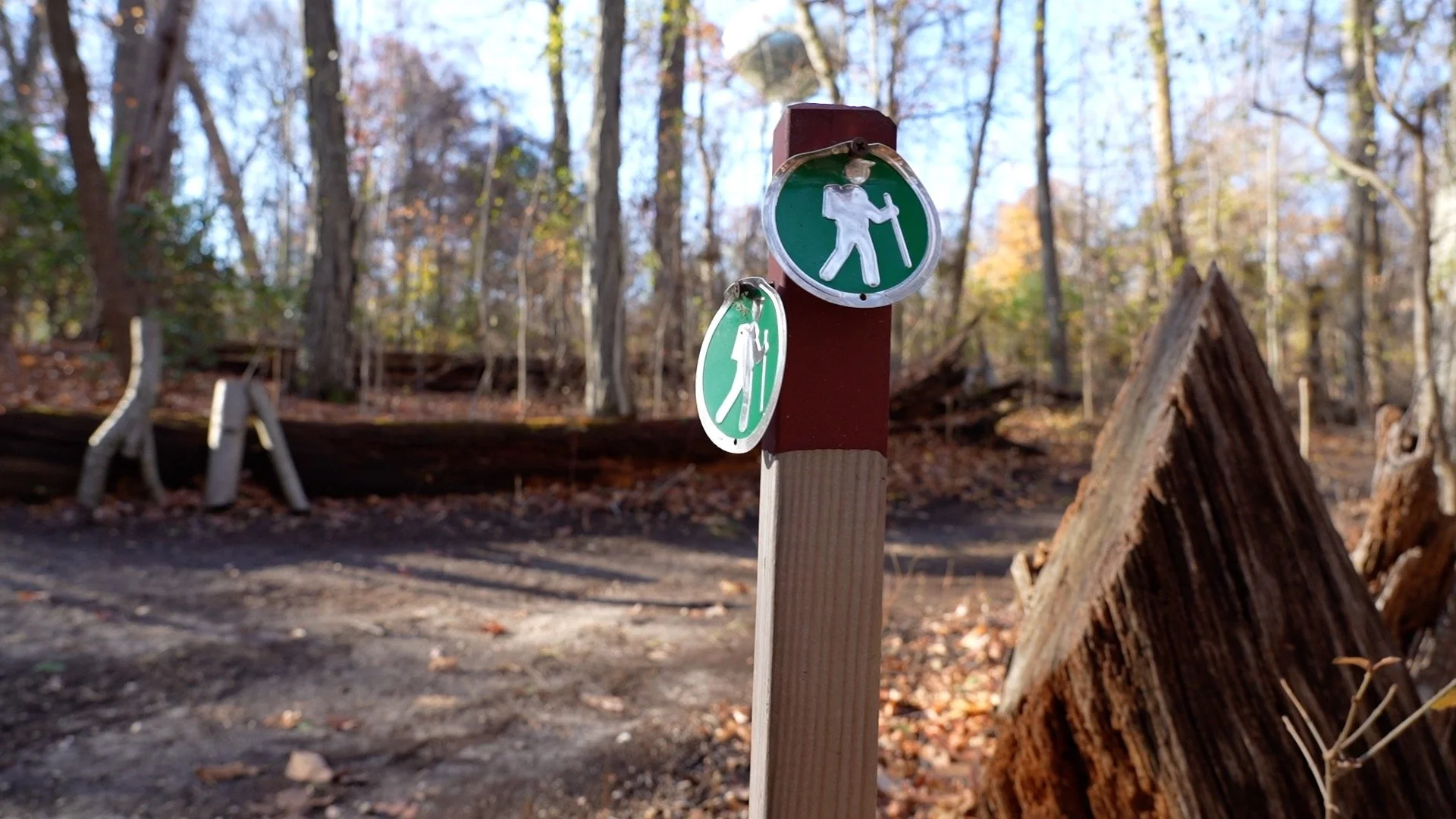 Mrs. Galvin's Set, Tiffany Creek Preserve, 11/27/24 — The Hornpipe Brewery