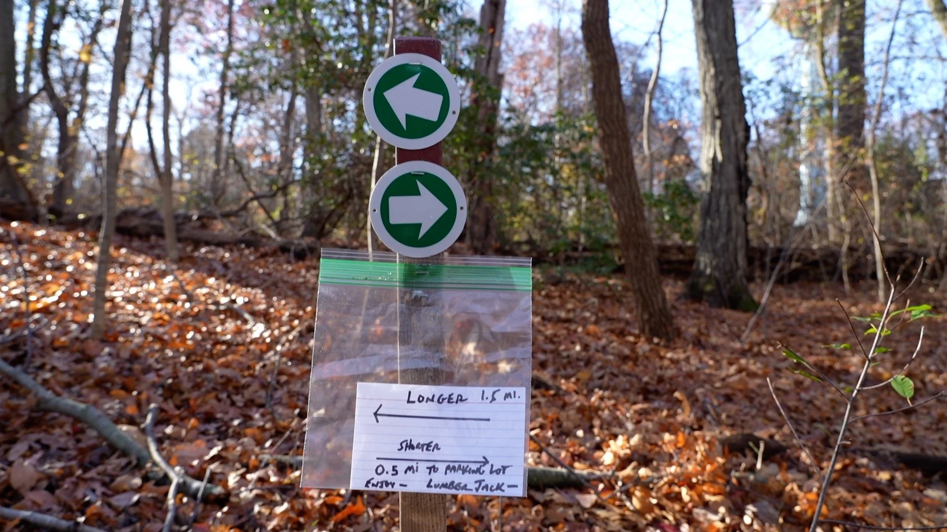 Mrs. Galvin's Set, Tiffany Creek Preserve, 11/27/24 — The Hornpipe Brewery