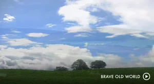 Pixar Animation Studios