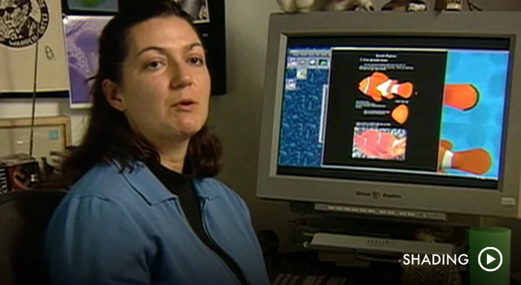 Pixar Animation Studios