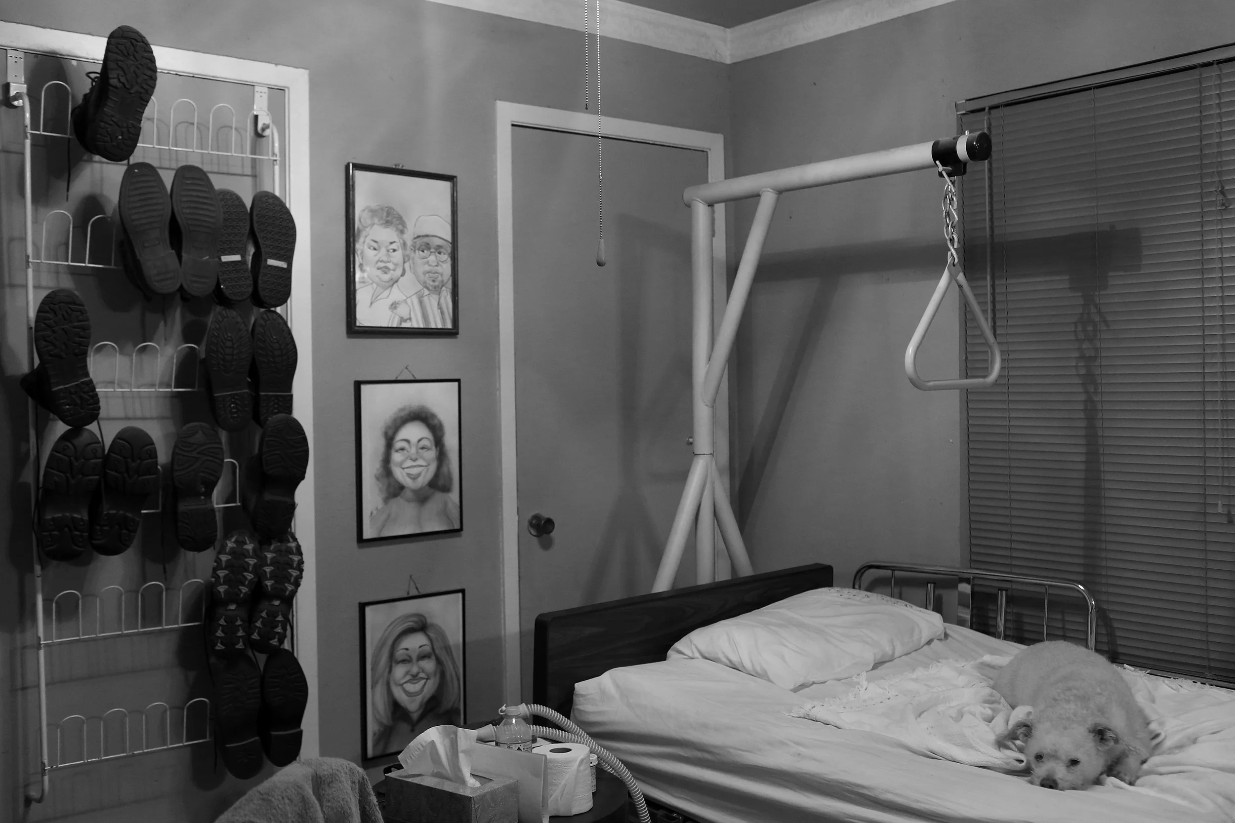 A Life Apart: The Toll of Obesity — Lisa Krantz