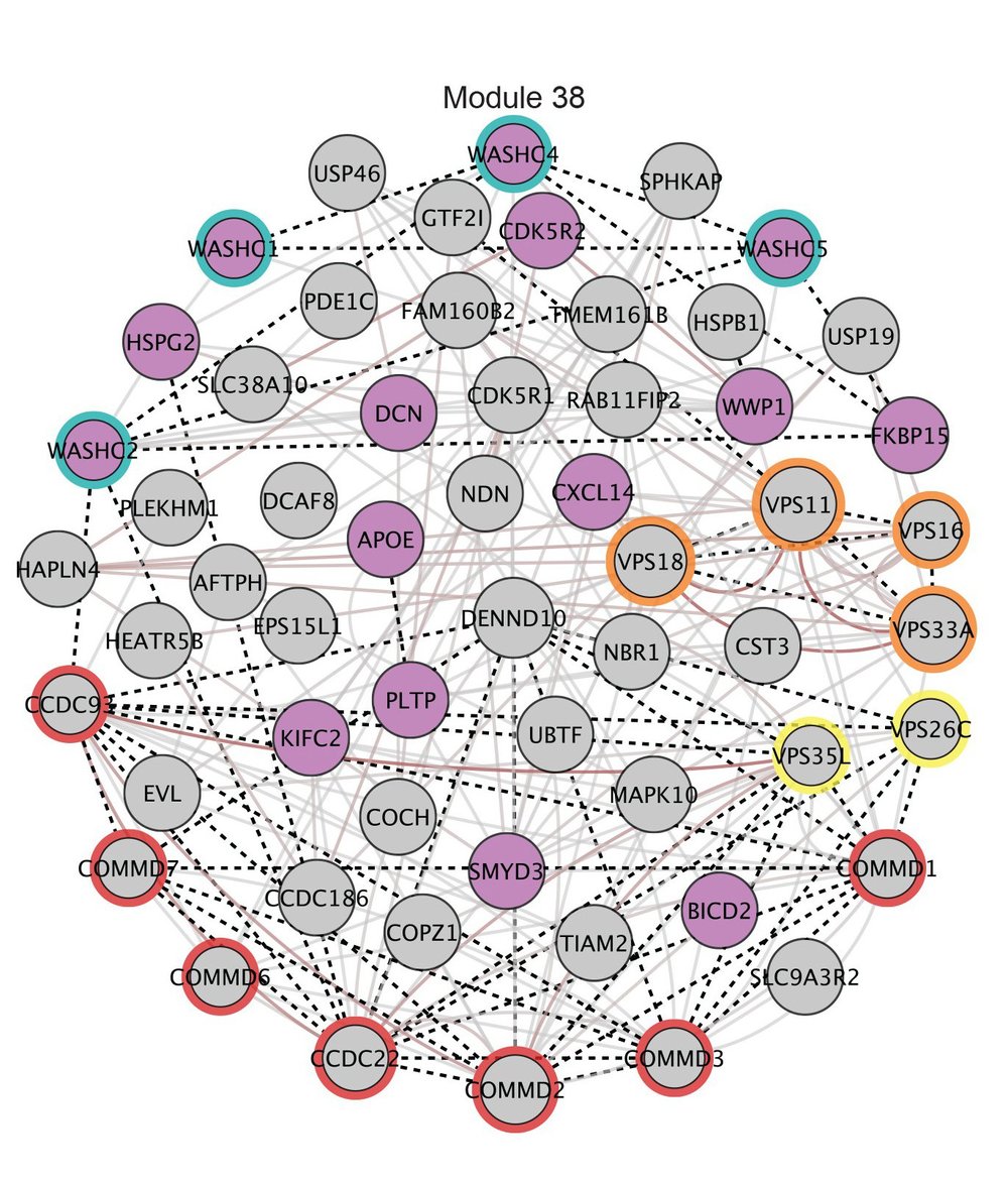 Join Us — Soderling Lab