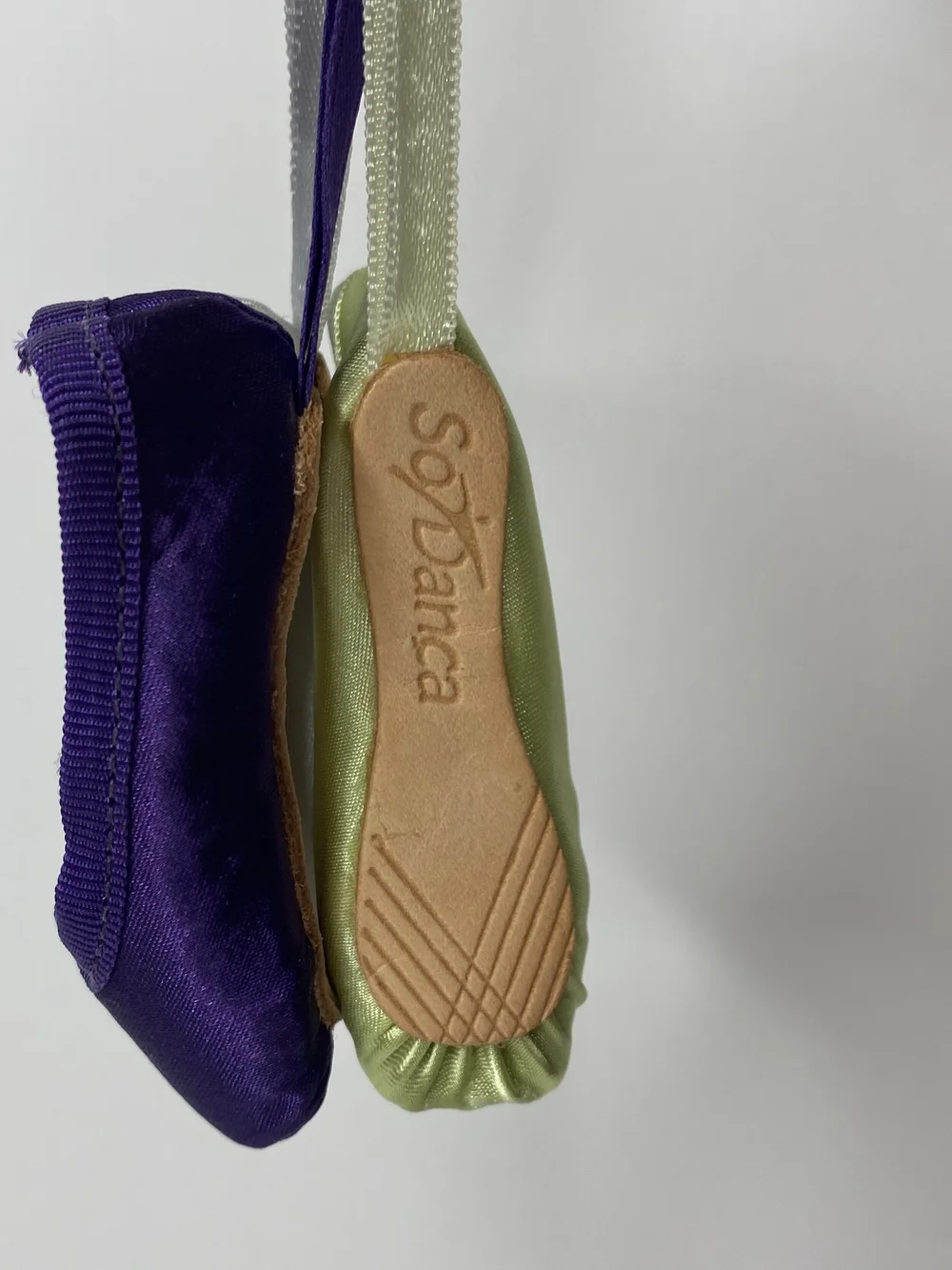 Purple Pointe Shoes
